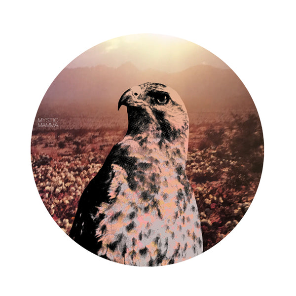 MESSENGER : HAWK Medicine Collage ART – MYSTIC MAMMA